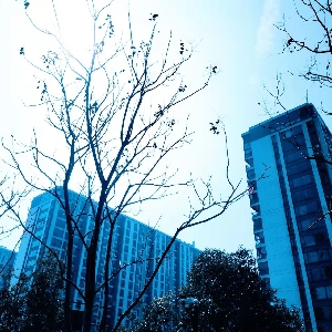 花开见我我见花开 