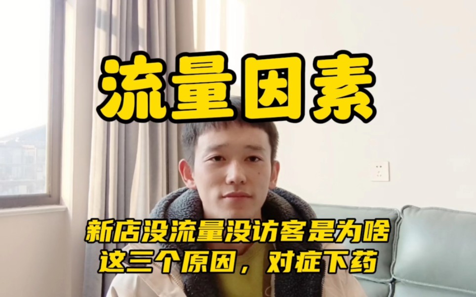虾皮Shopee没流量没访客,这三个原因搞清楚,对症下药