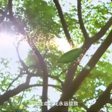 光明装x者 