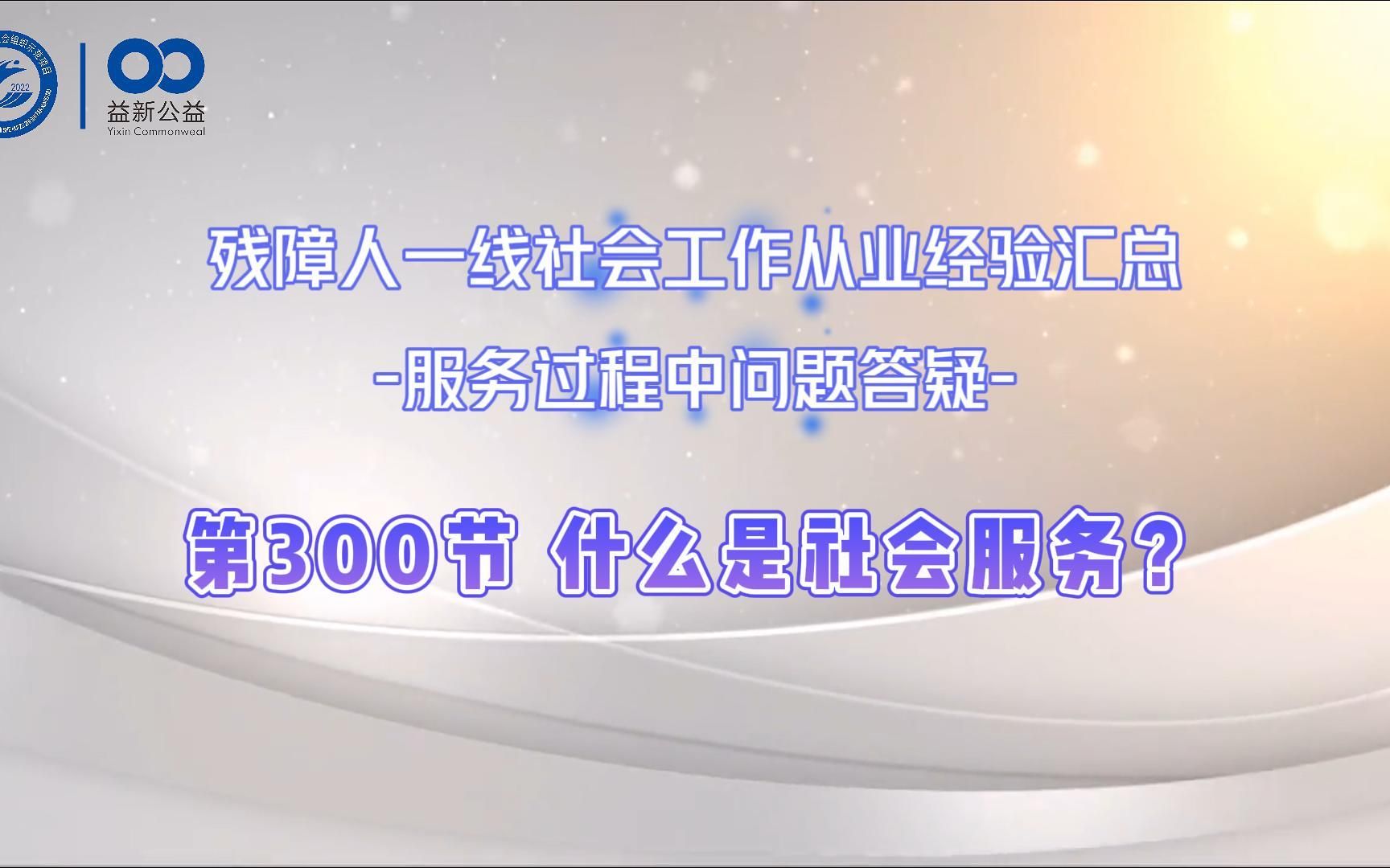 300 什么是社会服务?