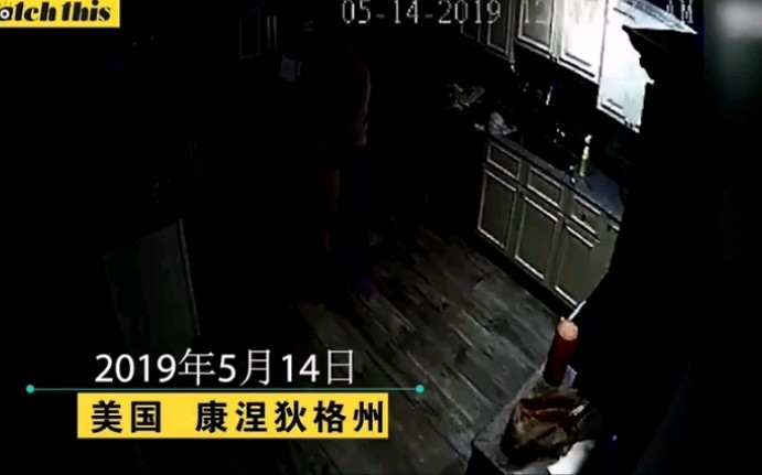 小哥出差拜托女友照看狗子 打开监控看到意外一幕