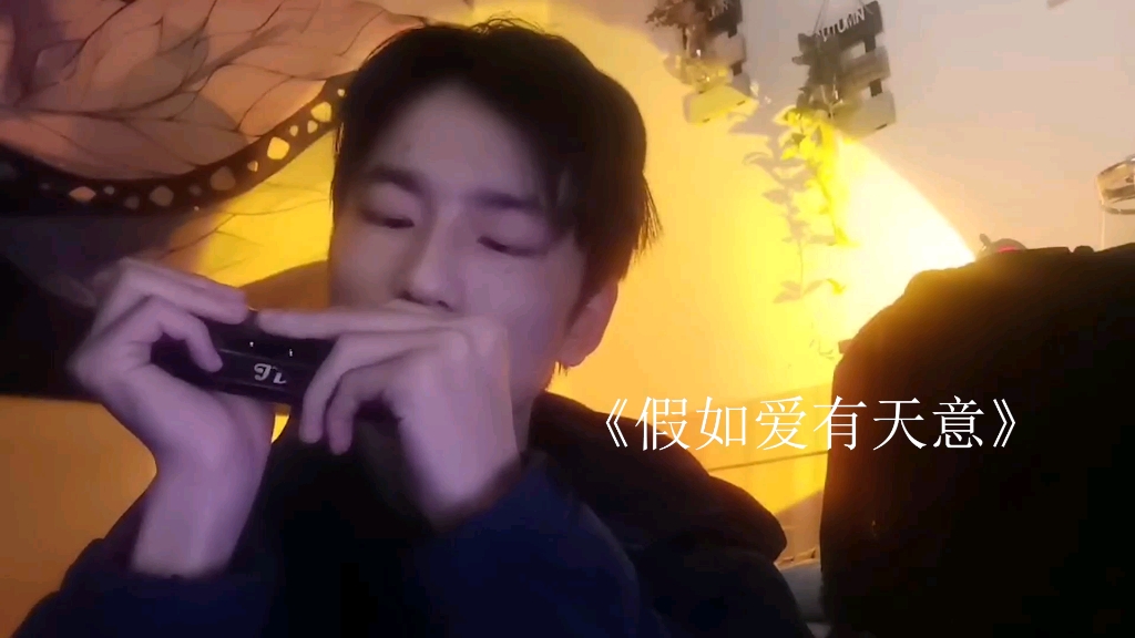 半音阶口琴 李健—《假如爱有天意》