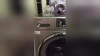海尔新款滚筒洗衣机,这甩干声音正常吗?