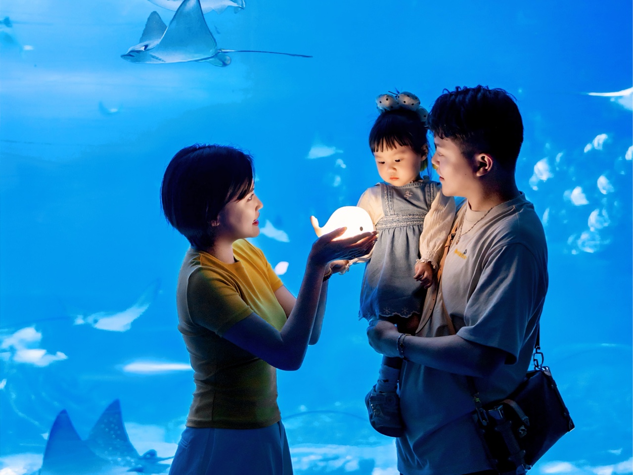 陪你长大陪你看世界~