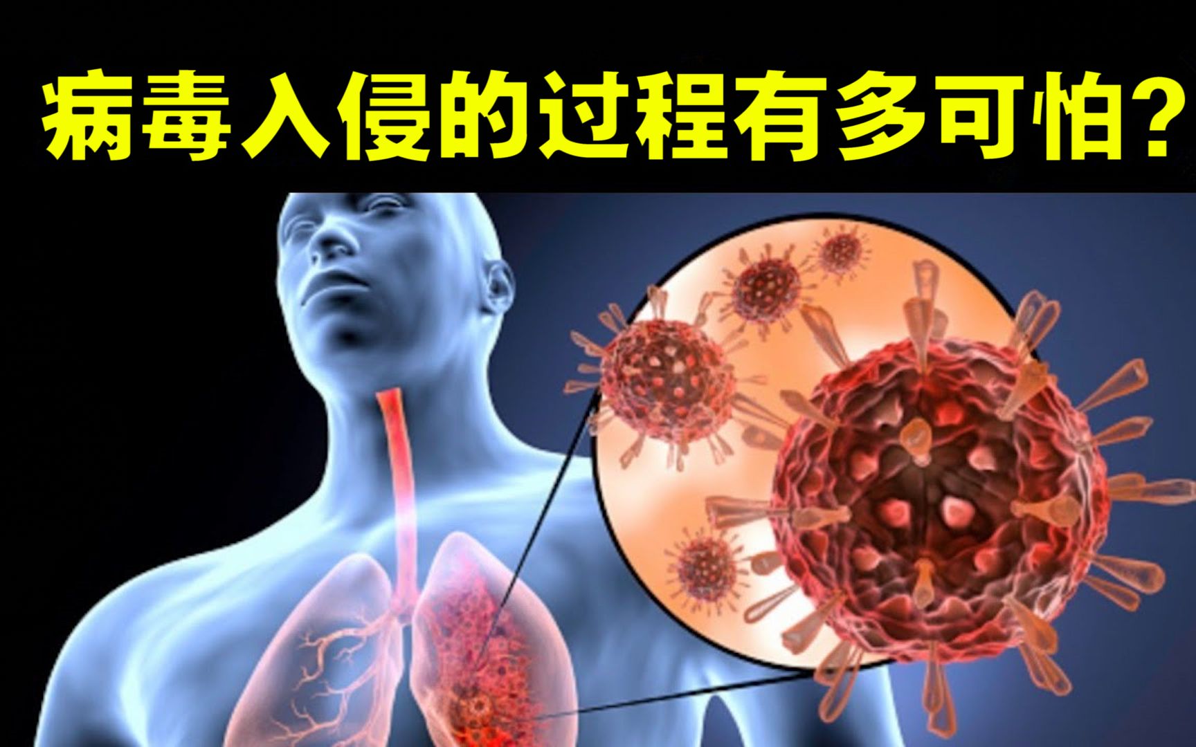 病毒入侵身体的过程有多可怕?没看过,你永远想不到你身体有多顽强!