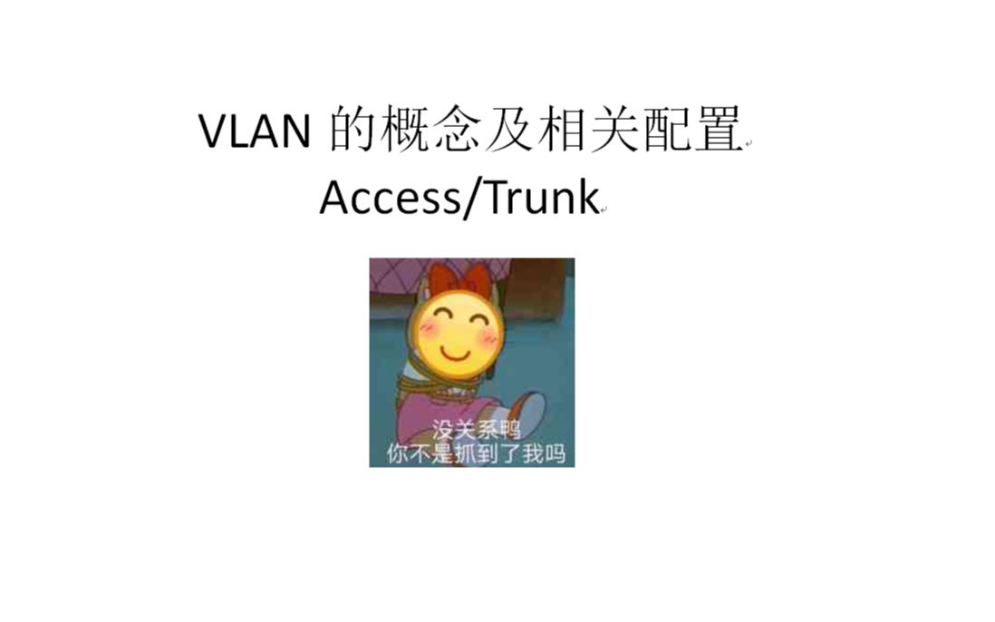路由交换之VLAN的概念及相关配置