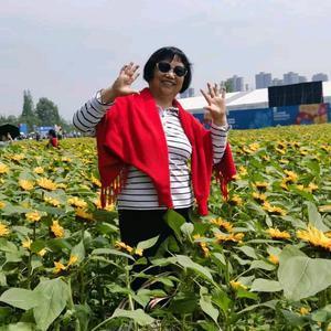 邹姐姐(不私聊)