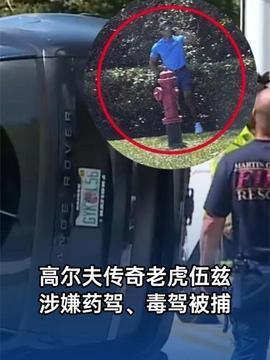 开路虎超卡车时,擦碰前车尾部侧翻,美国高尔夫球星老虎伍兹被捕。...