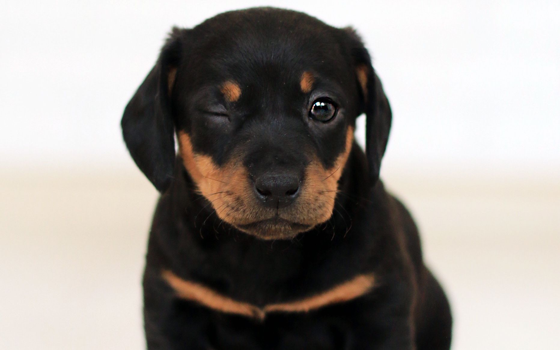 手机版如何搜索