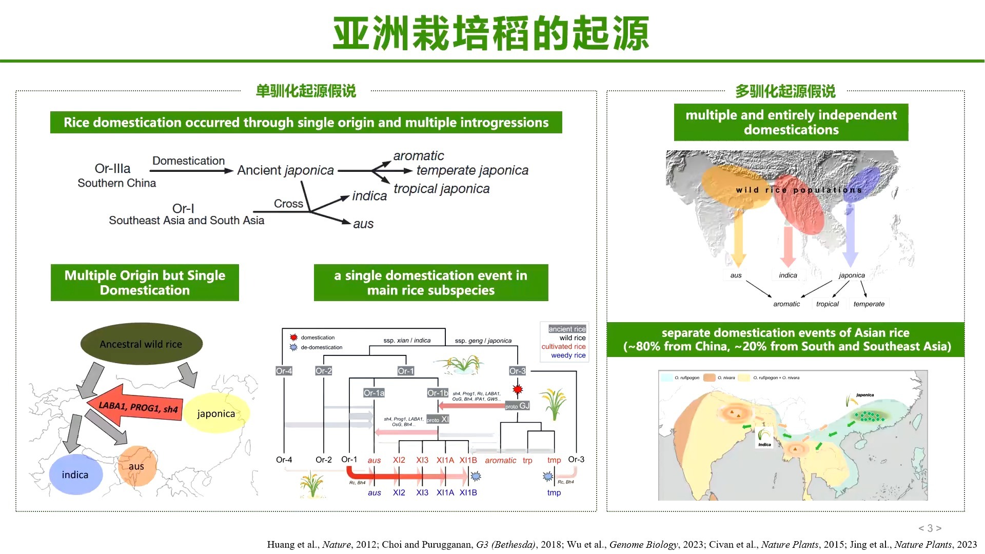 CGM第506期-郭东灵:泛基因组参考序列揭示野生稻和栽培稻的遗传...