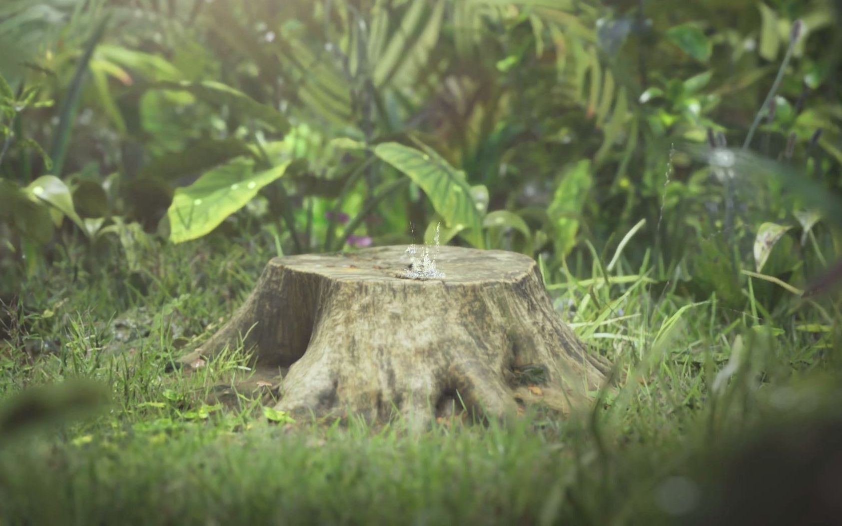 【三维动画】开启低碳生活