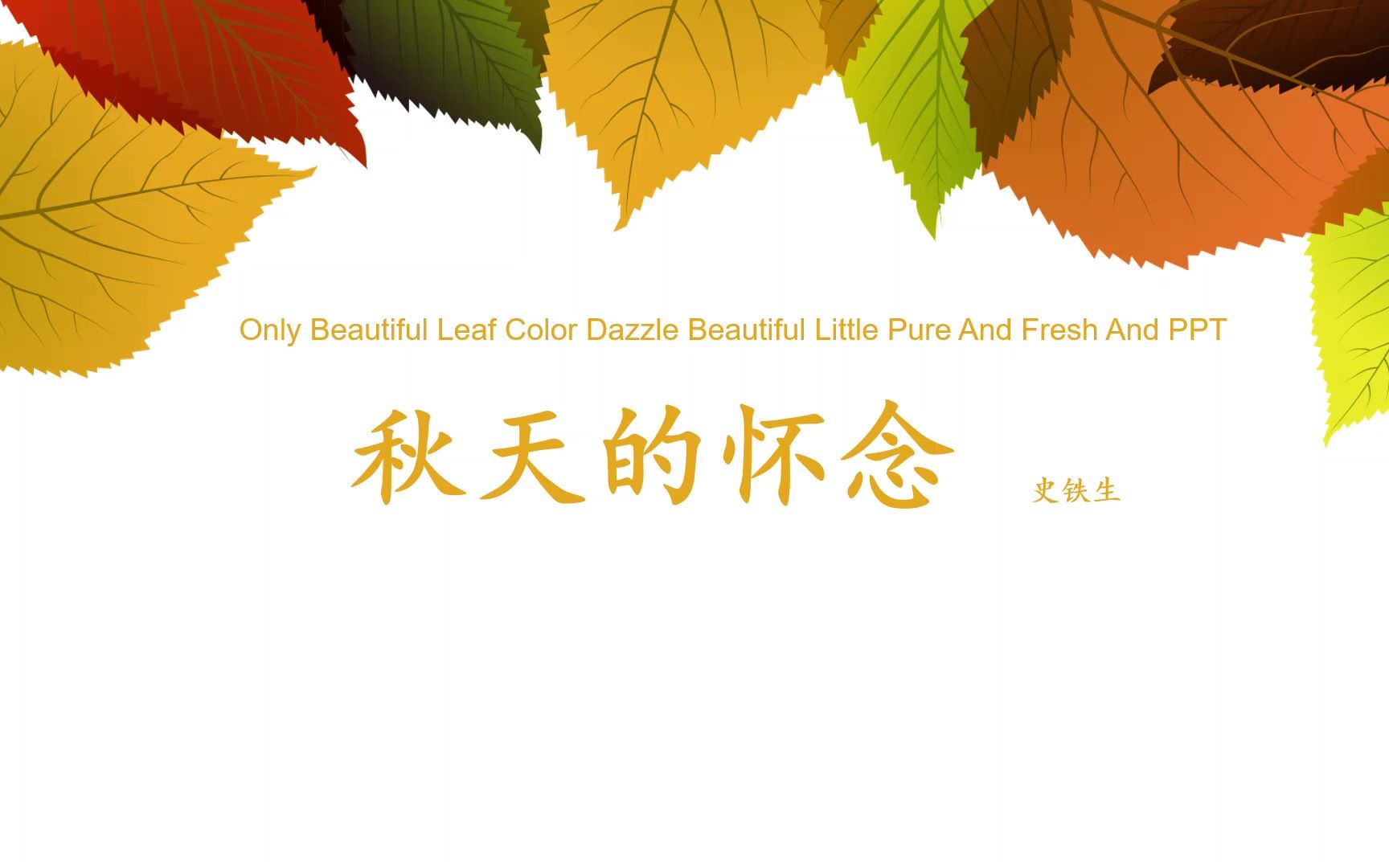 秋天的怀念微课教学