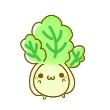 CabbageZJ 