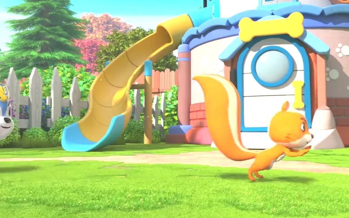 ...壮壮和多杰表示忍不了这么嚣张的松鼠#冒险小狗帮 #动画片 #少年...