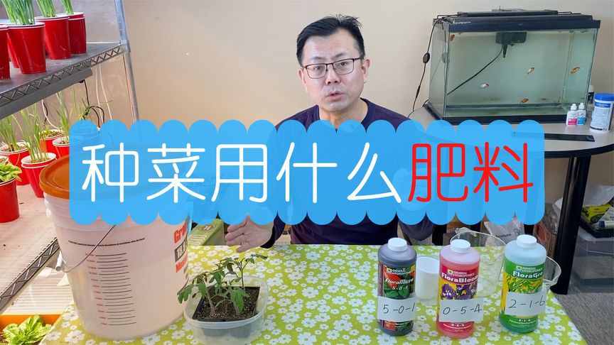 种菜用什么肥料最好?氮磷钾对植物的作用是什么?怎么自己配肥料