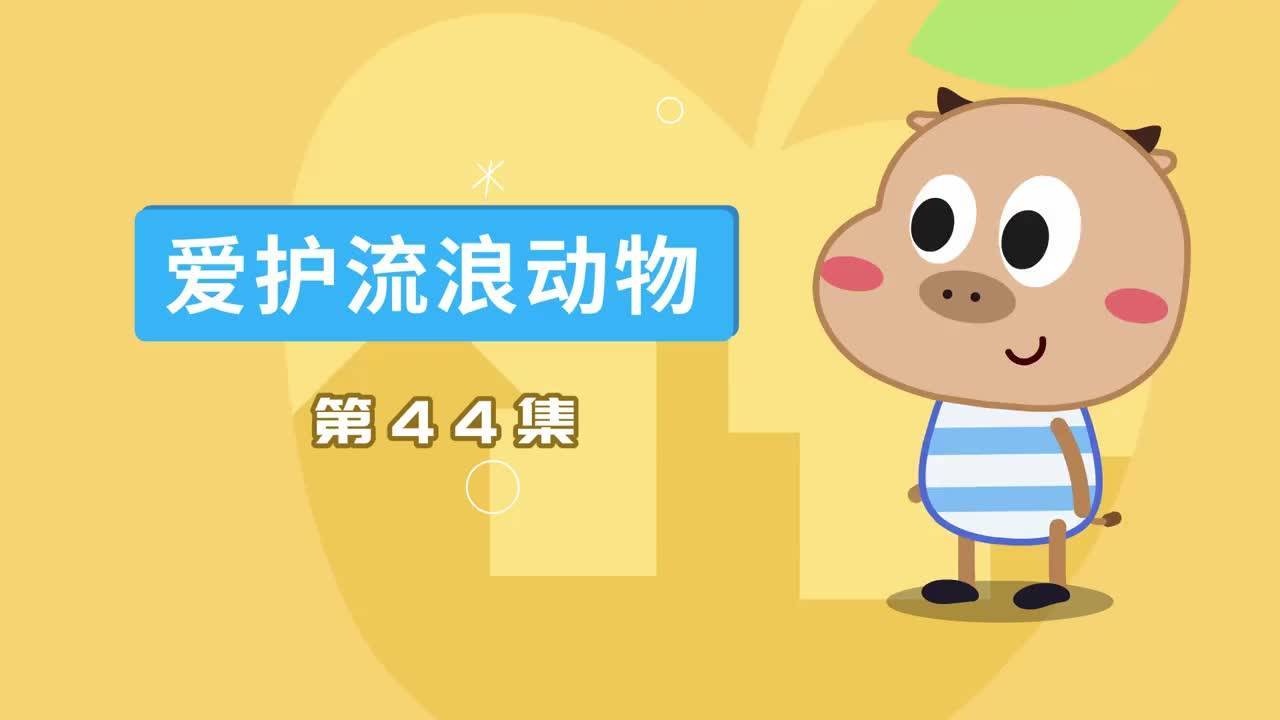 爱护流浪动物 #动画短片