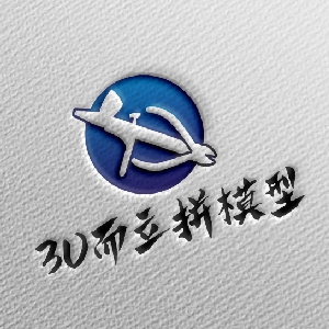 30而立拼模型 