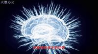 人类的大脑是量子计算机吗?科学家正在进行测试!