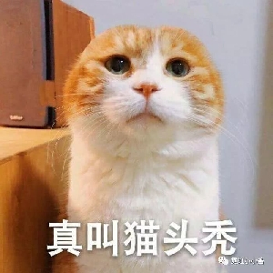 郦晓-Mua 