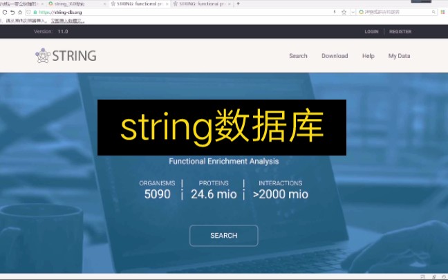 【string数据库】【生物信息学】STRING数据库的介绍和使用,希望对有...