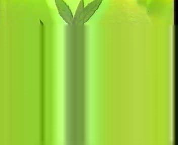 桃花的受精与形成果实
