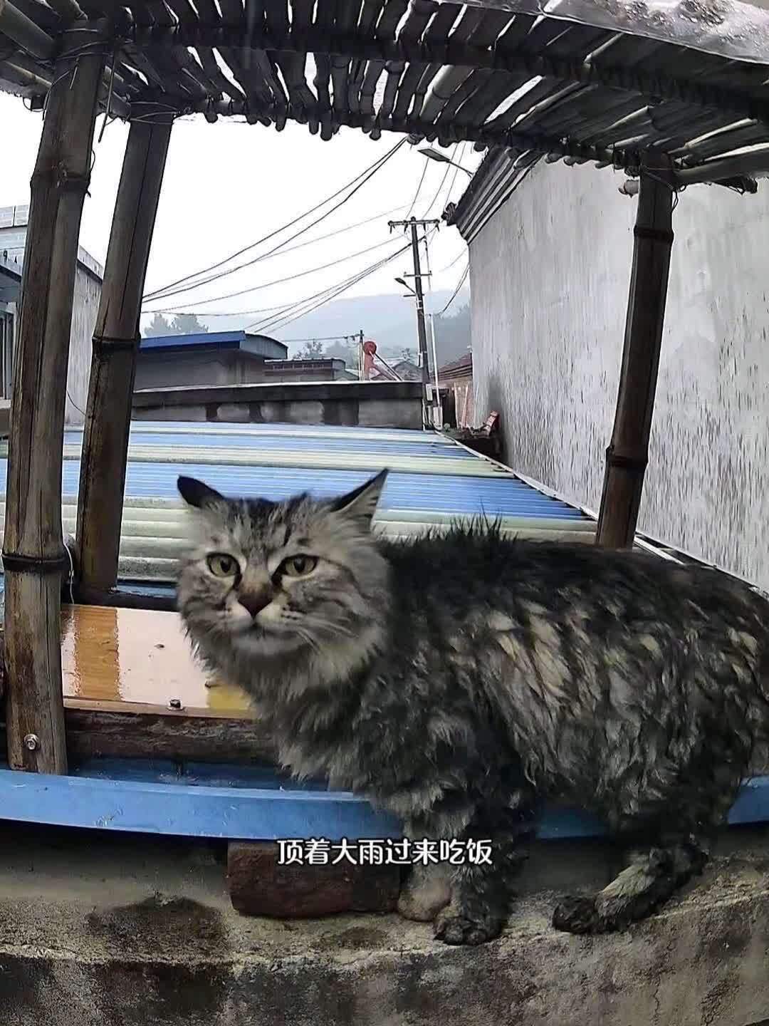 这大概就是生活的真实写照吧!