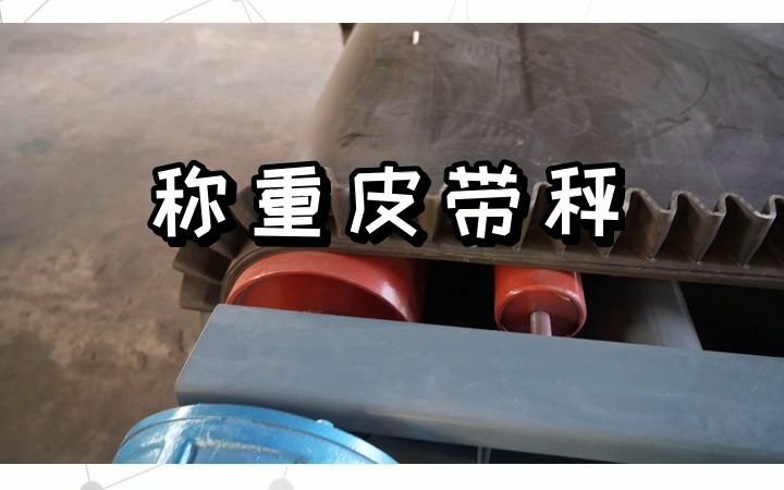 称重皮带秤有哪几种型号?瑞川可定制多种规格皮带秤,一键咨询! #称重...