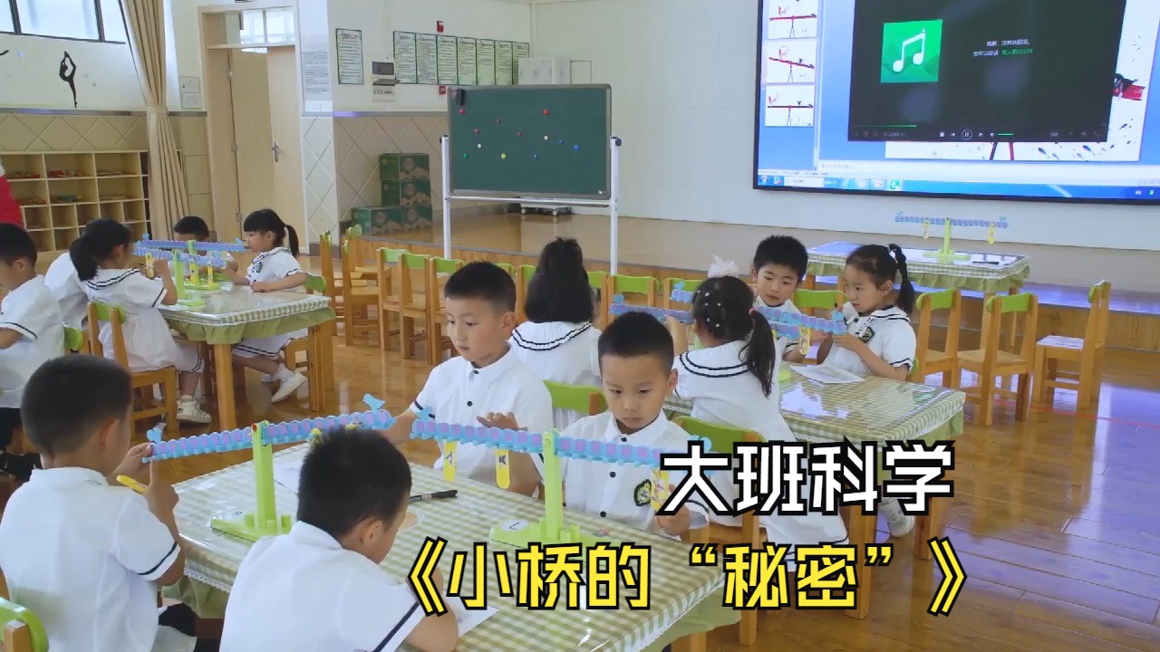 2024幼儿园优质公开课大班科学《小桥的“秘密”》