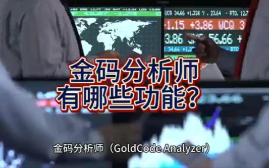 邑泊软件咨询:金码分析师有哪些功能?