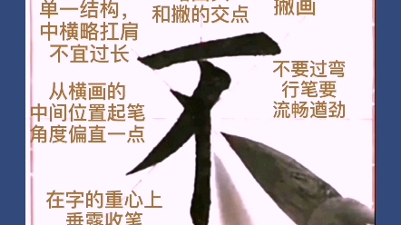零基础学书法,“不”字的写法