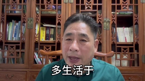 世界毒蛇排行第七名虎蛇
