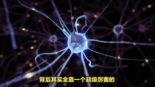 你知道人类神经系统的基本结构吗?神经元与突触传递的机制!
