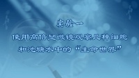 实验1 使用显微镜观察细胞
