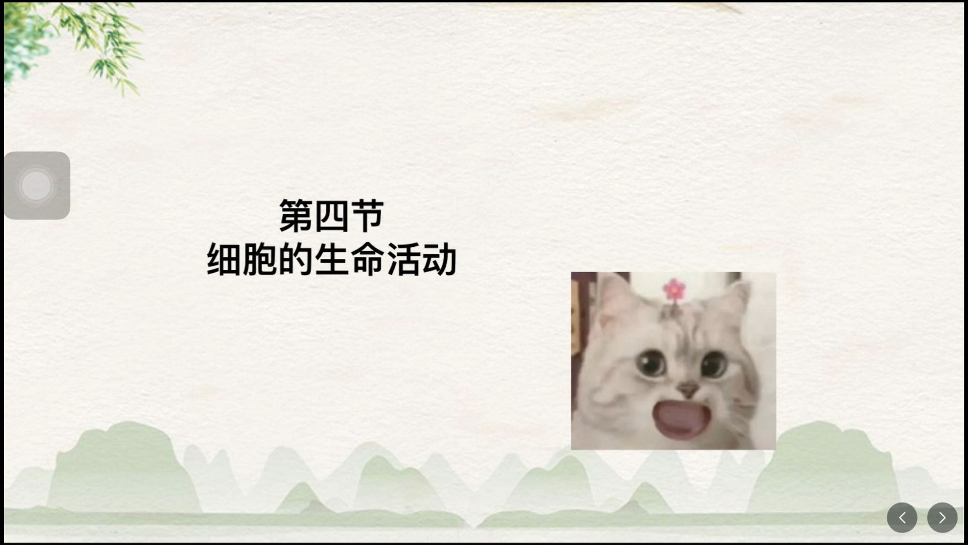 1.1.4 细胞的生命活动 七上生物 冀少版