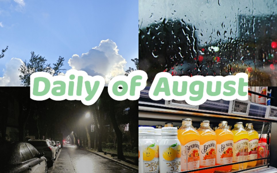 Daily of August/会计实习/生活记录