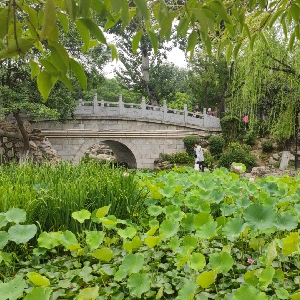 铭刻下的记忆 