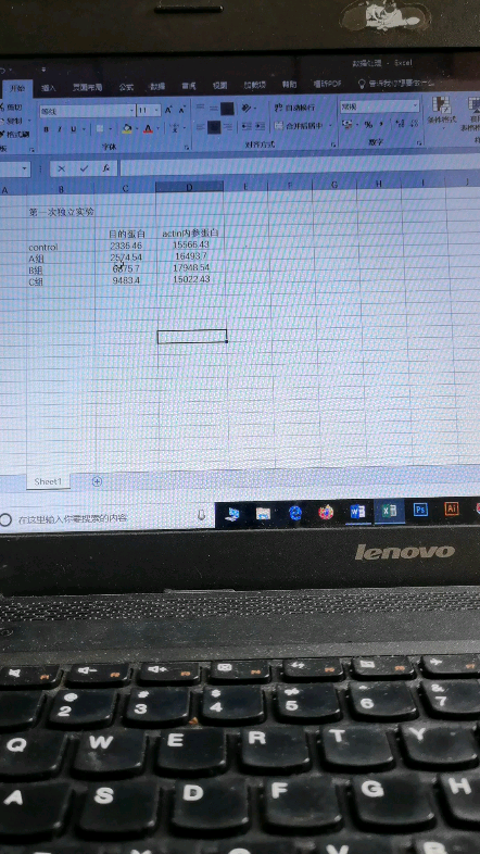 western blot条带峰面积的数据处理(归一化&Mean&SD)