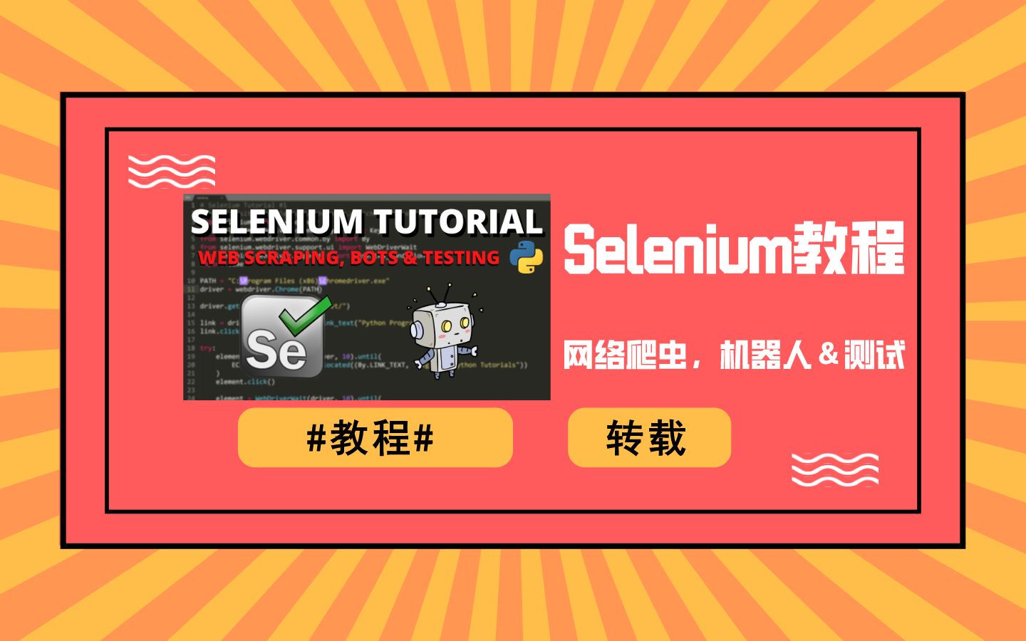 【Selenium 教程 2020版】网络爬虫,机器人&测试
