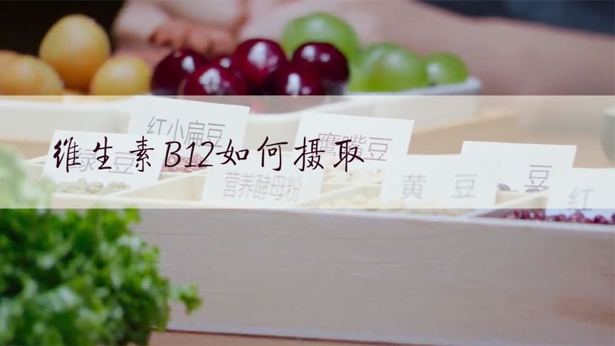 快来get纯素维生素B12补充方式#慧灯问道#维生素B12