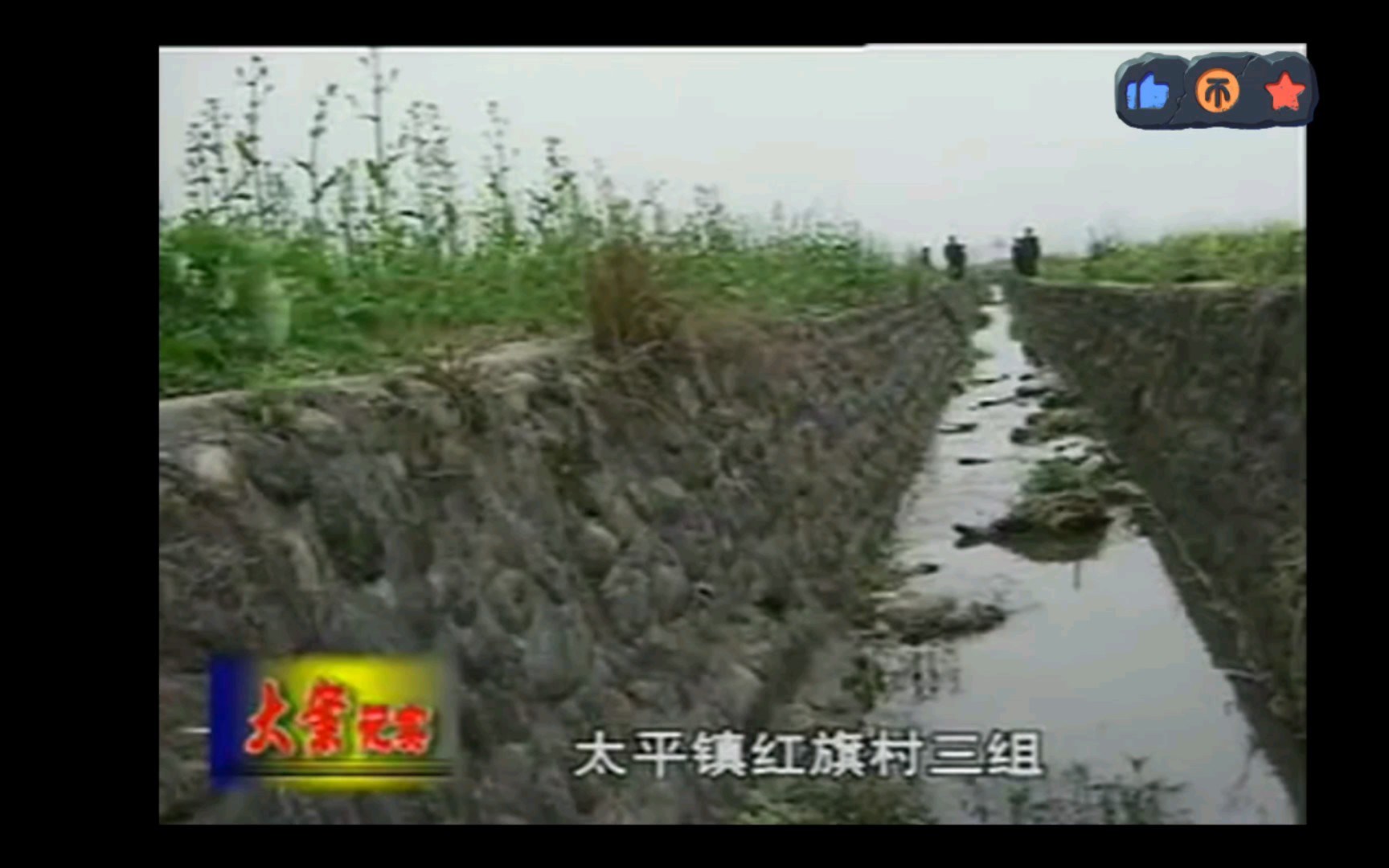 中国西部刑侦大案纪实 第十八集(中) 连环凶杀案的背后(舔狗的痴狂)