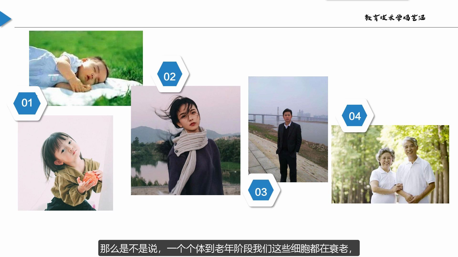 细胞的衰老和凋亡