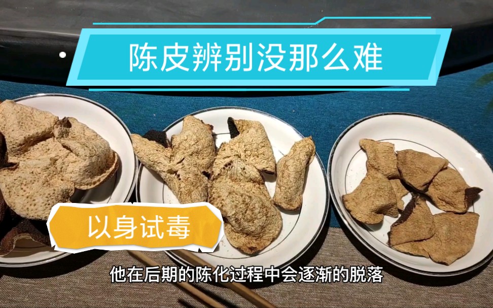 新会陈皮真假如何辨别?从外形 口感 干香 冲泡 吃皮全方位解读