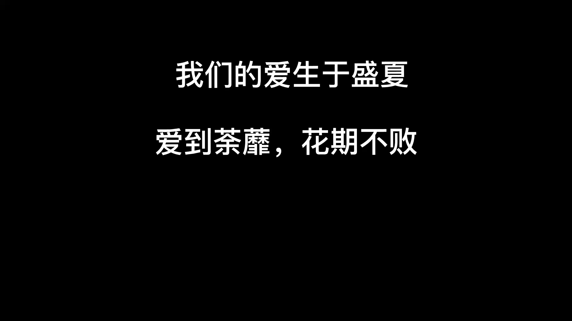TF家族三代同人文推文第一弹