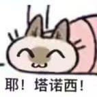 南黎2333 