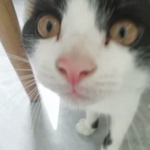 优替_ 