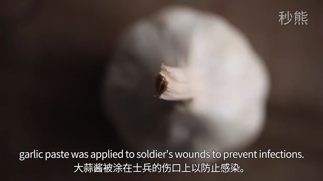 来瓣蒜!从农田到餐桌,大蒜的生长日记 | 秒熊英语出品