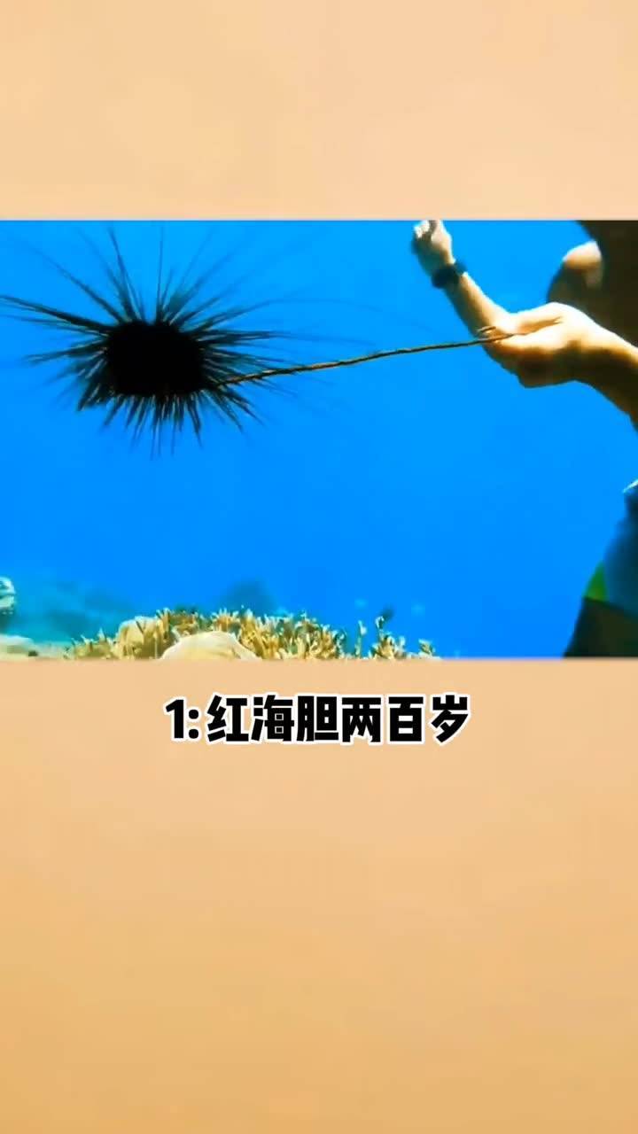 世界上寿命最长的动物排名