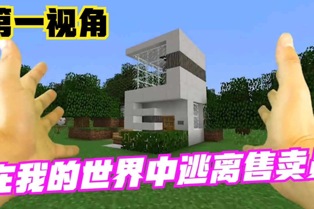 第一视角 在我的世界中购买房子没钱时 第一视角逃离我的世界!