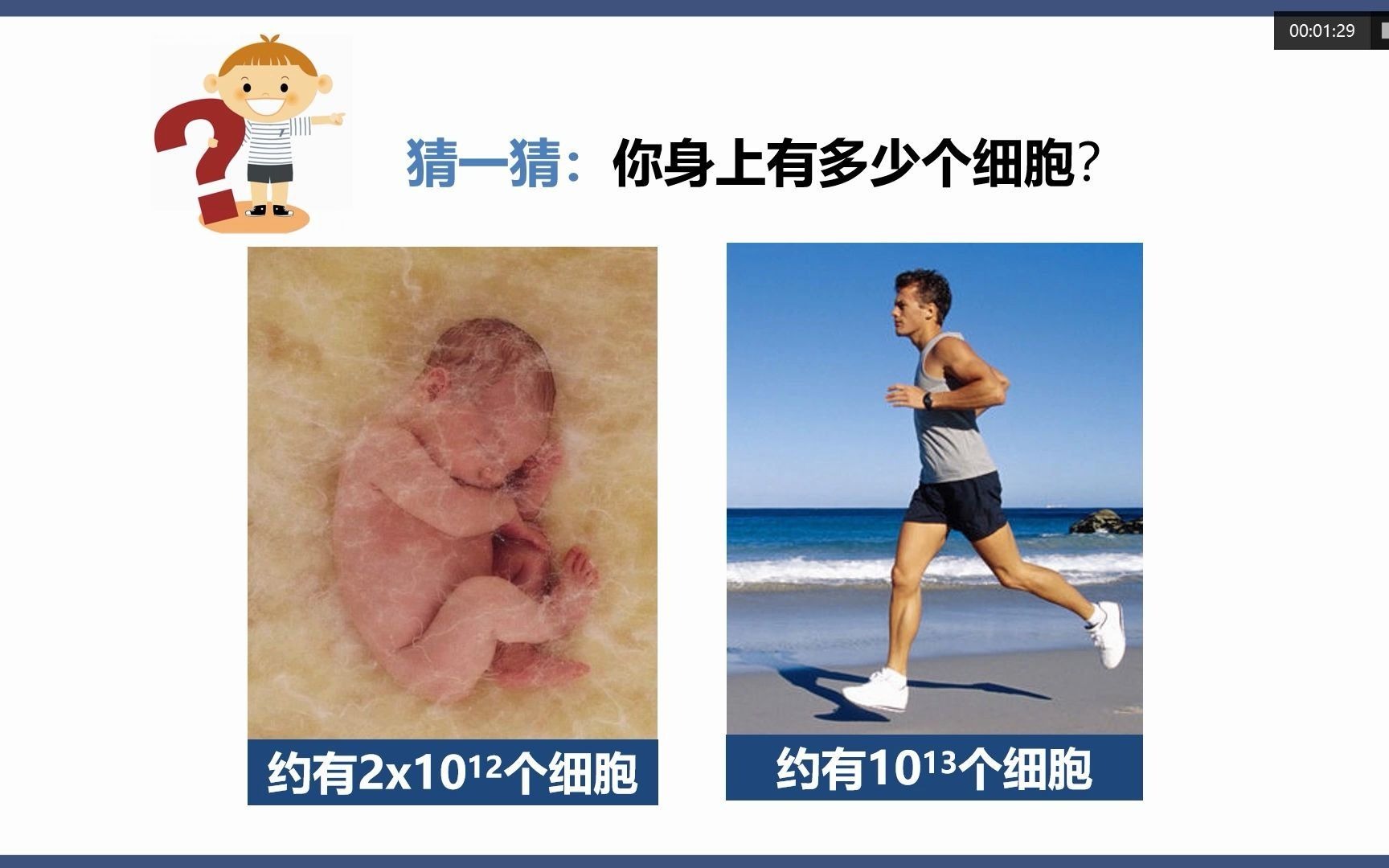 浙教版初中科学七年级上册 2.3生物体的结构层次(第一课时)教学视频