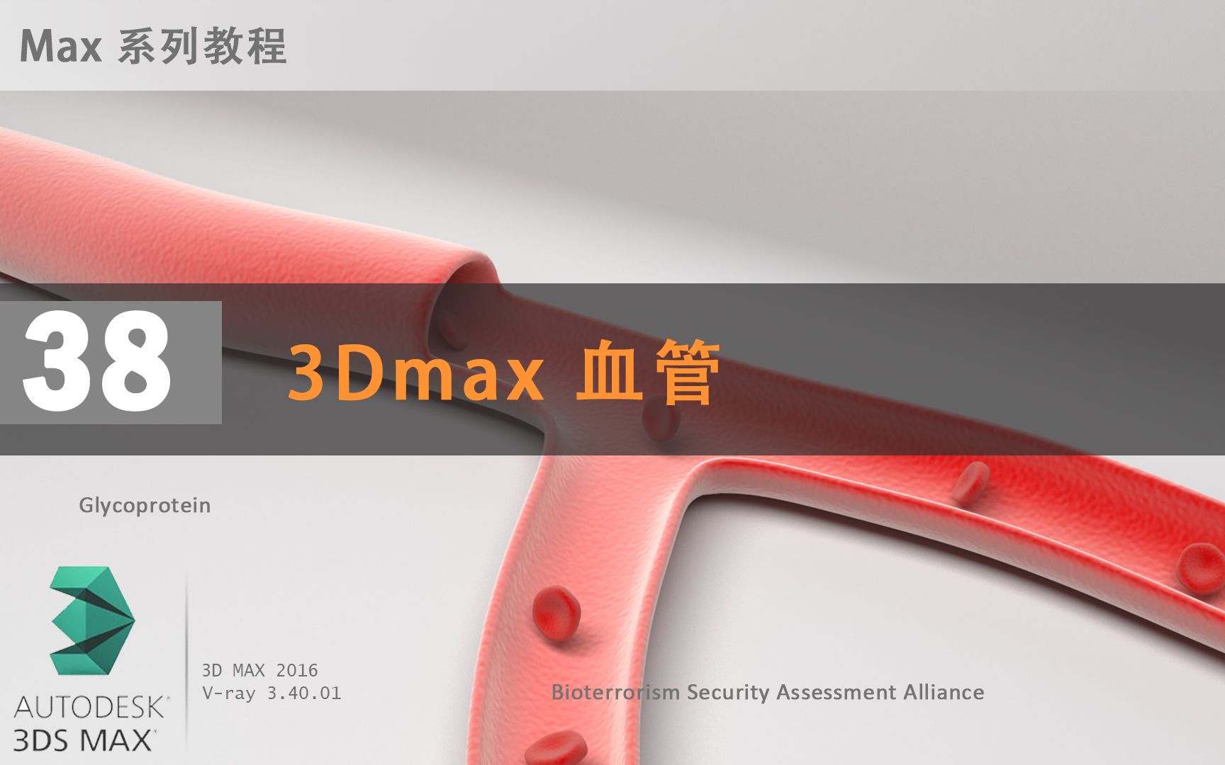 3DMAX 血管